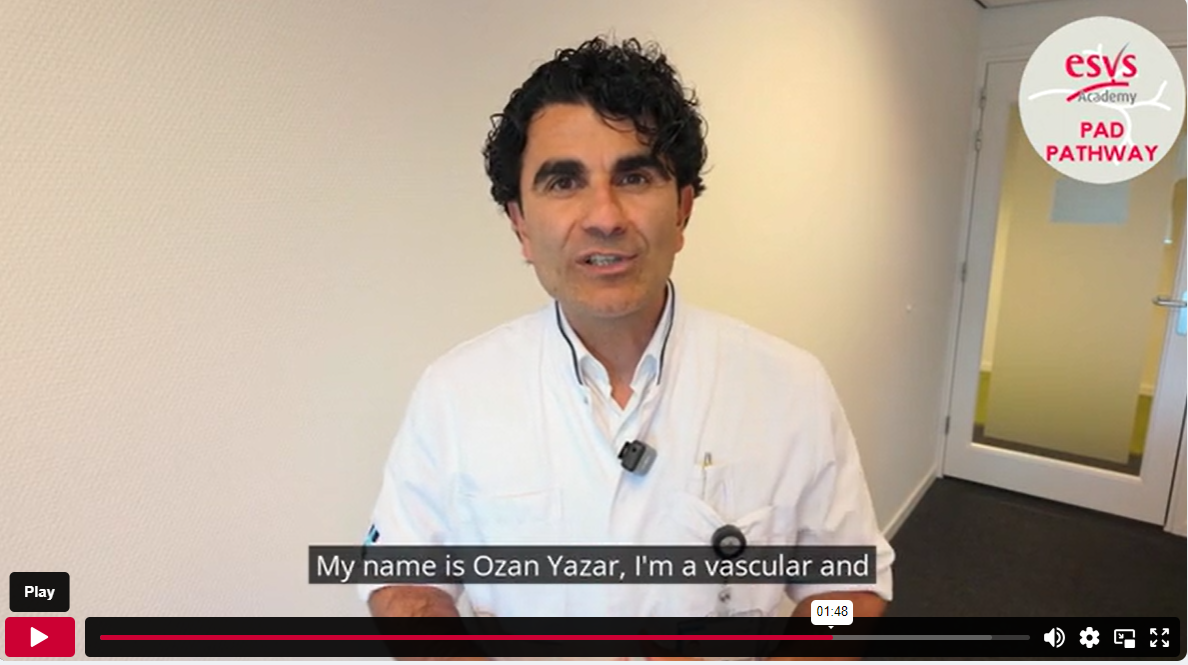 ESVS PAD Pathway - Below the Knee Interventions Workshop 2024 | ESVS